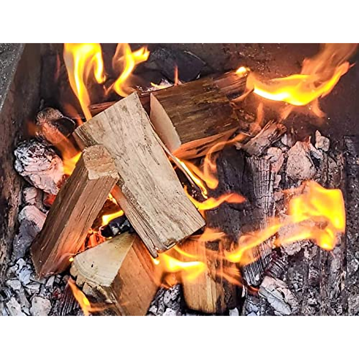 Luxury Wood cookwood Smoker Wood Smoak firewood fire Cooking Pizza Oven (12'')