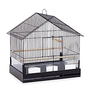 Prevue Pet Products Lincoln Bird Cage, Black, 22 x 15 x 23 inches (110B)