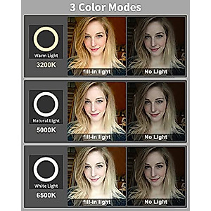LUOLED Ring Light with Stand and Phone Holder, USB 10'' Ring Light for Desk, Overhead Camera Mount with Ring Light, Desktop Ring Light with Clamp for Photography/Makeup/Live Stream Video/YouTube