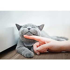 Tabcase v2 Protective Cases (2 Pack) for Loc8tor TabCat Pet Collar Locator v2 (Turquoise)