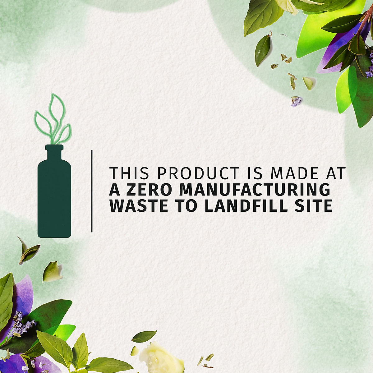 Herbal Essences bio:renew Cucumber & Green Tea Sheer Moisture Shampoo, 13.5 fl oz (Packaging May Vary)