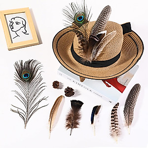 Holmgren 48pcs Natural Feathers Bulk - 6 Styles 48pcs Assorted Natural Feathers, Peacock Feathers, Pheasant Feathers, Turkey Feathers for Craft DIY Jewelry Hat Wedding Home Party Decoration