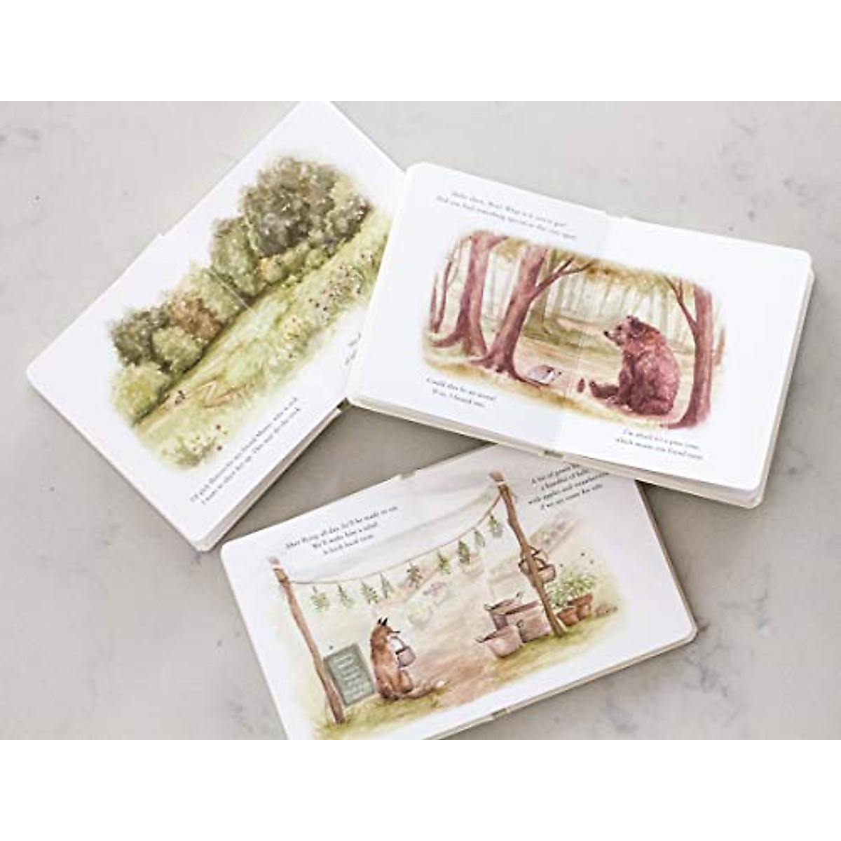 Our Little Adventures: Stories Featuring Foundational Language Concepts for Growing Minds (Our Little Adventures Series)