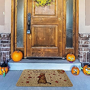 GAGEC Fall Welcome Door Mat Cat Outdoor Rug Maple Leaf Doormat Entrance Rugs Autumn Farmhouse Home Kitchen Bathroom Decorations Floor Front Door Mats 17 x 27 Inch