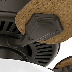 Hunter Fan Company Swanson 44-inch Indoor New Bronze Casual Ceiling Fan With Bright LED Light Kit, Pull Chains, and Reversible WhisperWind Motor Included