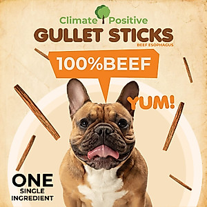 Gullet Sticks 100% Natural Beef Esophagus Dog Chews, 6” Premium Dog Treats for Training Puppies & Adults, Zero Filler or Preservatives, 24 Count