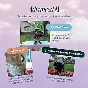 Bird Buddy Solar Smart Bird Feeder with Camera - Ai Bird Species Identification, 5Mp Photos, 2K Hd Video Live Stream Camera, Solar-Powered Charging, 2.8In Focus - Blue
