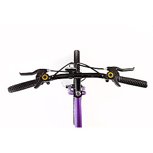 Titan Wildcat Ladies Mountain Bike (Purple/Black, 26-inch)