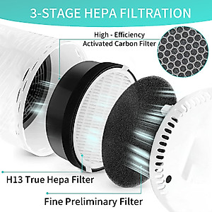 LV-H132 Replacement Filter Compatible for LEVOIT LV-H132 Air Filter, 3-in-1 H13 True HEPA and Activated Carbon Filter,Part LV-H132-RF,2 Pack