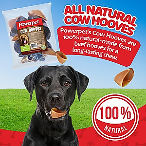 Powerpet 100% Natural Cow Hooves for Dogs – Durable Chews & Dental Treats for All Dog Breeds & Sizes, Helps Reduce Tartar & Boredom, Large Hoofs for Chewing, Supports Clean Teeth & Gums, 20 Pack