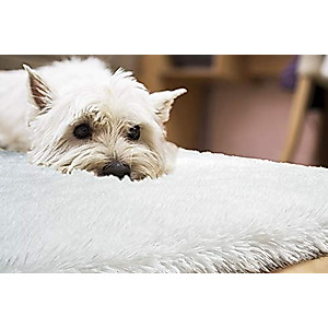 Pacapet Fluffy Area Rugs, Cream Shag Rug for Bedroom, Plush Furry Rugs for Living Room, Fuzzy Carpet for Kid's Room, Nursery, Home Decor, 4 x 6 Feet