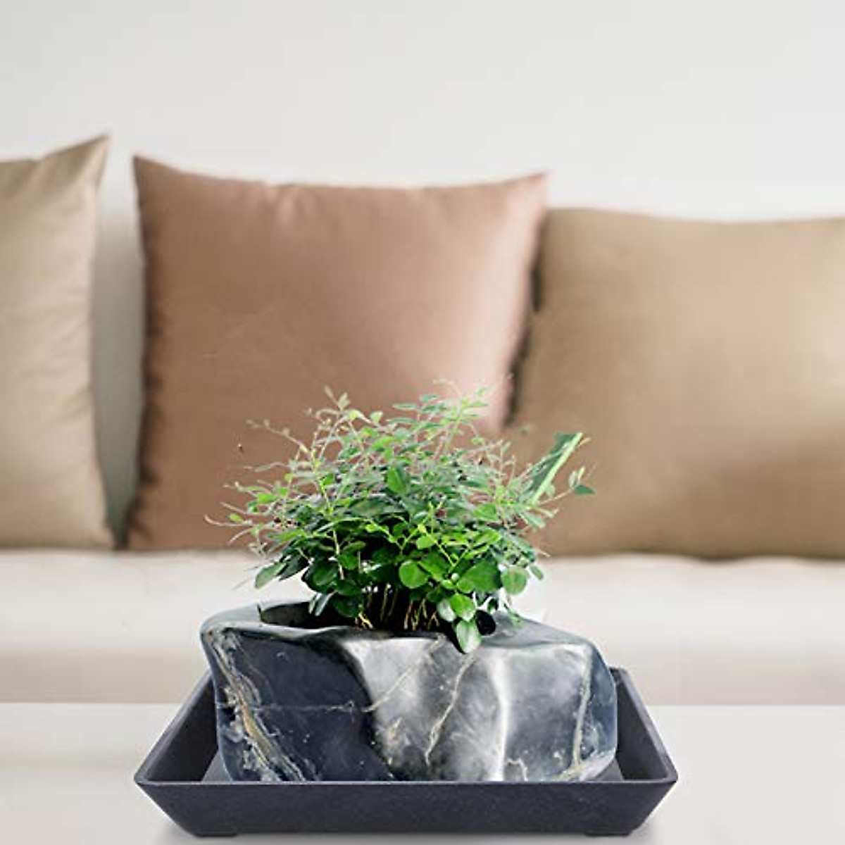 DOITOOL 2pcs Plant Saucer Plastic Plant Tray Flower Pot Saucer Square Saucer for Indoors Outdoor Garden Plant Container Accessories 4.9 Inch Black