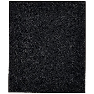 Genuine Winix 113050 Replacement Filter C for P150 Air Purifier, White