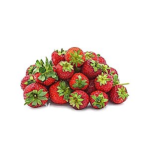 Seascape Everbearing Strawberry Bare Roots Plants, 25 per Pack, Hardy Plants Non GMO