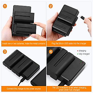 LORDONE NP-F550 Battery, 2-Pack 2700mAh NP F550 Battery and Dual USB Charger Set for Sony NP F970, F750, F770, F960, F550, F530, F330, F570, CCD-SC55, TR516, TR716, TR818, TR910, TR917 and More