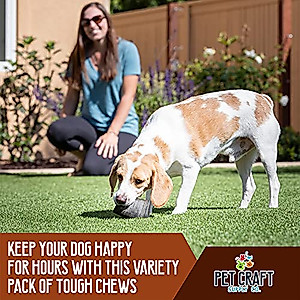 Pet Craft Supply Pure Natural Grass Fed Grain Free Water Buffalo Variety Pack of 11 Durable Tough Dog Chew for Aggressive Chewers and Puppies