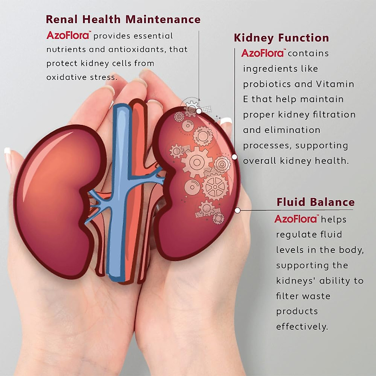 Azoflora Supplement for Healthy Kidneys for Dogs - Enhances Renal Function - Support Healthy Urinary Tract, Easy to Administer, No Refrigeration Required, Chicken Flavor - 90 Soft Chews