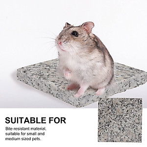 STOBOK 2Pcs Pet Cooling Mat, Granite Material, 9x9cm, Rabbit, Hamster, Chinchilla