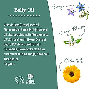 Earth Mama Belly Oil for Dry Skin | Calendula Skin Care Moisturizer Oil to Encourage Natural Elasticity and Help Prevent Stretch Marks During Pregnancy and Postpartum, 4-Fluid Ounce