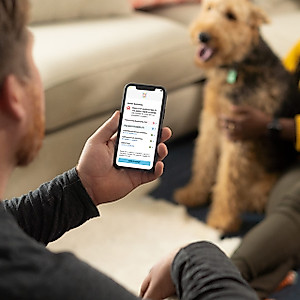 Embark Purebred Kit - Dog DNA Test - Health, Traits, Genetic Diversity Score (COI), Breed Confirmation