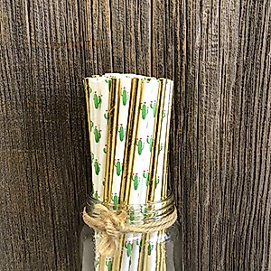 Cactus Theme Paper Straws - Green White Succulents and Gold Foil Drinking Straws - 100 Pack Outside the Box Papers Brand