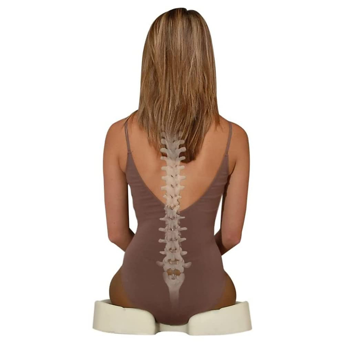 Kabooti Coccyx Seat Cushion, Blue