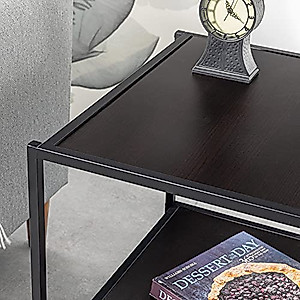 ZINUS Dane 20 Inch Black Frame Side Table / End Table / Easy Assembly, Rich black wood grain (Espresso)