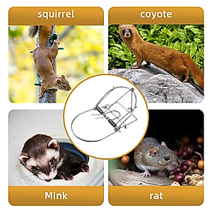 2 Pack Small Animal Traps Mouse Trap,Spring Trapt Rodent Cage,Suit for Rat,Reusable