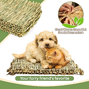 Sukh 2 PCS Rabbit Grass Mats - Natural Hay Woven Bunny Rabbit Bad Cage Mats Pet Bedding Cooling Sleeping Nesting & Toys for Hamster Bunny Chinchilla Guinea Pig Mouse Bird and Other Small Animal
