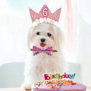 SuPoo Birthday Decorations for Girls - 6th Birthday Headband Crown, Glitter Hair Band, Flower Princess Tiara Hair Accessory for Party