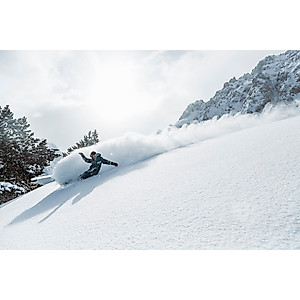 Nidecker Escape Men's Snowboard Clear Wood 159W