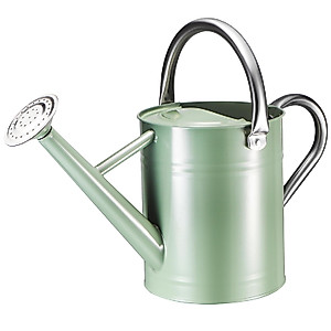 CherHome Watering Can for Outdoor Plants&Indoor Plants,Plant Watering Can 1 Gallon,Metal Flower Garden Watering Can Water Can Watering Pot,Galvanized Steel Watering Can Outdoor(Cream Green)