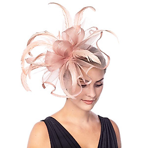 Lucky Leaf Girl Lady Hat Headwear Organza Church Feather Clip Fascinators Hat Wedding Party Kentucky Derby Cap for Women(F-5-Dark Pink)