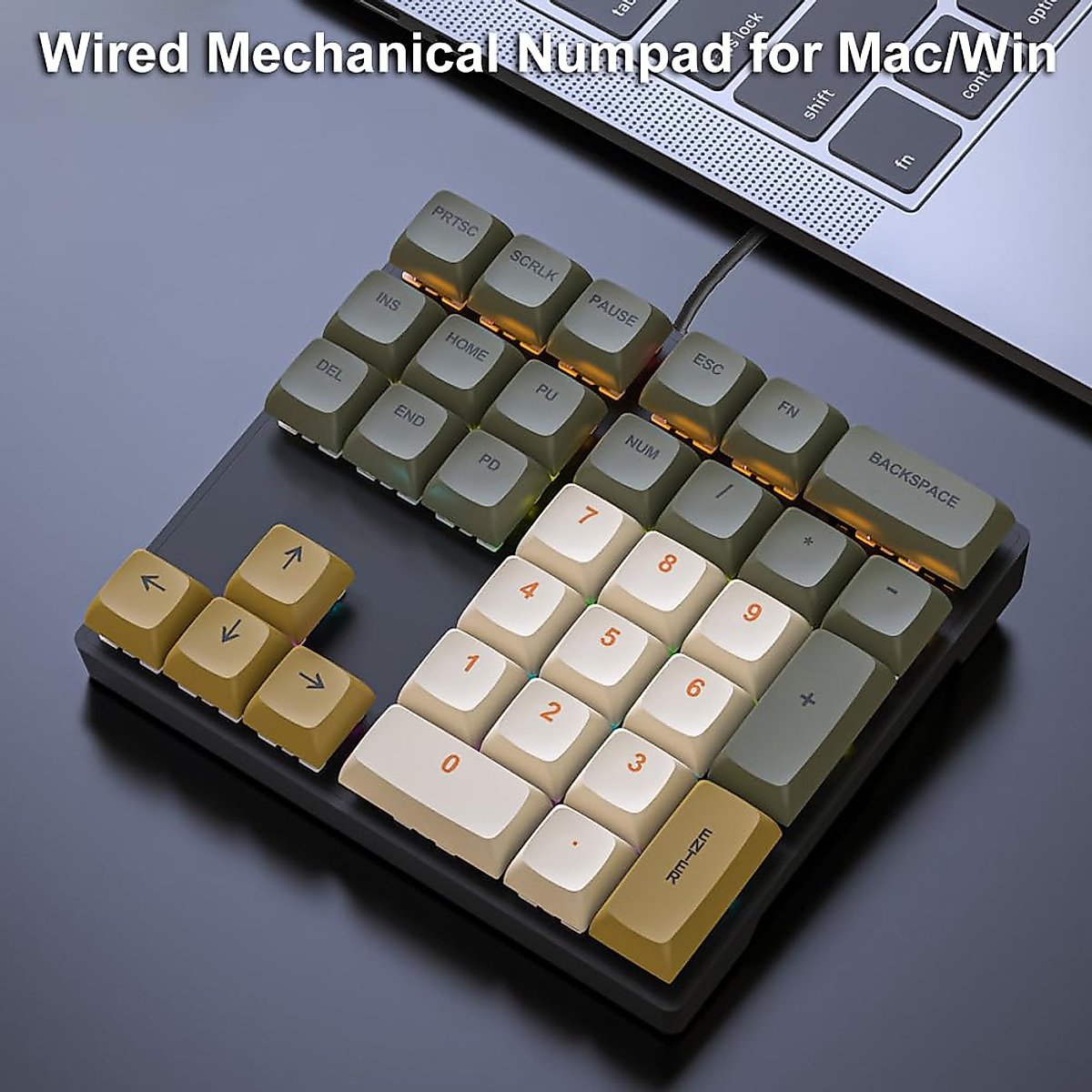 LINKEET Mechanical Numpad Rainbow Backlit Clicky Blue Switches Wired USB Number Pad 33-Key NKRO Numeric Keypad with XDA PBT Keycaps External Keyboard Num Pad for Laptop, Mac - Brown Grey