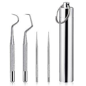 Worldity 5Pcs Reusable Toothpick, Portable Metal Toothpick, Professional Teeth Cleaning Tools, Dental Picks with Toothpick Holder and Key Ring for Travel Picnic Camping