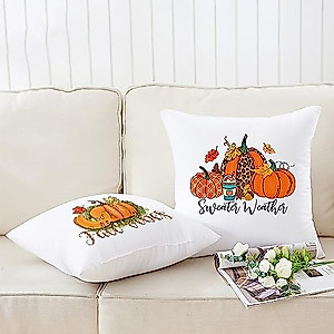 Thanksgiving Iron on Sticker Patches Pumpkin Iron On Heat Transfer Decals Washable Pumpkin Maple Leaf Fall Design Autumn Hot Heat Transfer Vinyl Appliques for Clothing Art Decoration Accessories