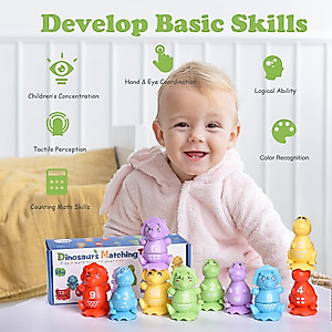 Stacking Dinosaur Toys for Kids 3-5, Stacking Blocks Toys for 2-7 Year Old Boys Girls, Educational Stacking Toys Gifts for Toddlers Age 2-4 Christmas Birthday Gifts, Dinosaur Toys for 2 Year Old Boy