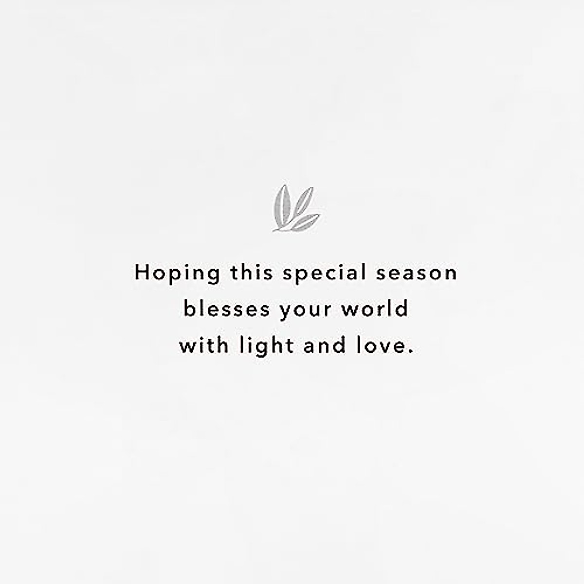 Hallmark Peace Dove Boxed Christmas Cards (16 Cards and Envelopes) Navy Blue, Mint Green, Gold, Red