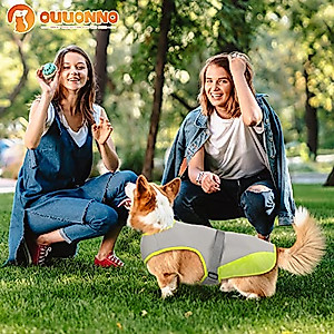 oUUoNNo Dog Cooling Vest,Cooling Vest for Dogs,Dog Cooling Jacket,Pet Cooling Vest,Breathable Mesh Ice Vest Adjustable Straps Cool Vest for Small Medium and Large Dogs (Medium, Grey)