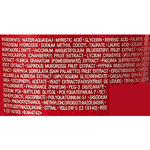 Estee Lauder Nutritious Super-Pomegranate Radiant Energy 2-In-1 Cleansing Foam, Full Size, 4.2 Fl Oz