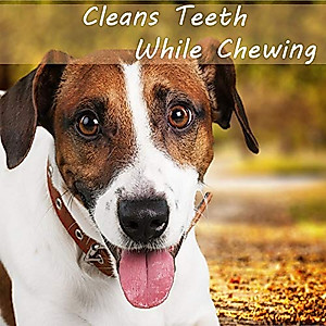 Otterly Pets Puppy Dog Pet Rope Toys for Small to Medium Dogs (Set of 4)