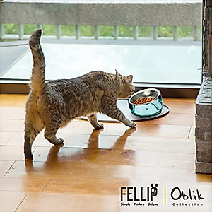 Felli Pet Oblik Whisker Fatigue Friendly Raised Cat Food Bowl Stainless Steel, Anti Vomiting Tilted Shallow Dish Easy Clean, Slanted Flat Metal Feeder Elevated Angled Spill Proof (0.5Cups, Classic)