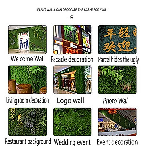 YNFNGXU Artificial Plant Wall Anti-Ultraviolet Protection Privacy Hedge Hedge Beautify Garden Fence Home Decoration Privacy Screen 60 X 40cm (Color : C)