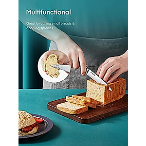 D.Perlla Steak Knives, Micro Serrated Steak Knife Set of 8, High Carbon Stainless Steel Steak Knives Set, Elegant Sharp Kitchen Steak Knife Set, Silver