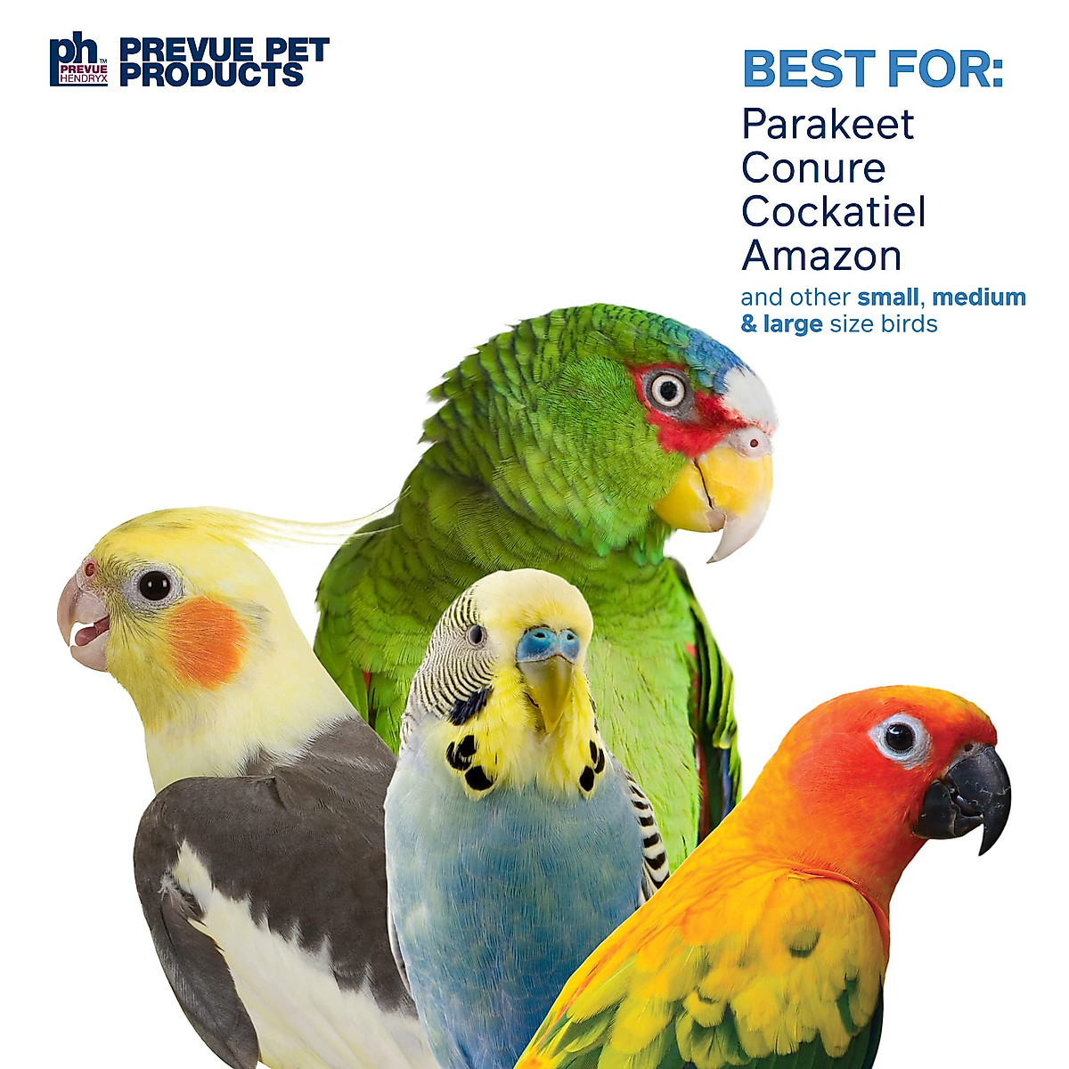 Prevue Pet Products Sound & Movement Chime Time Cyclone Bird Toy 62161