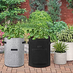 6 Pack 10 Gallon Potato Grow Bags with Flap Window, Garden Planting Bag with Durable Handle, Plant Pots for Tomato, Vegetable and Fruits