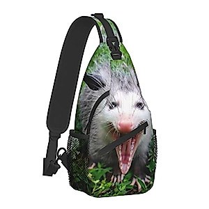 Possum Hissing Chest Bag Shoulder Bag, Animal Sling Backpack Casual Travel Bag For Men And Women