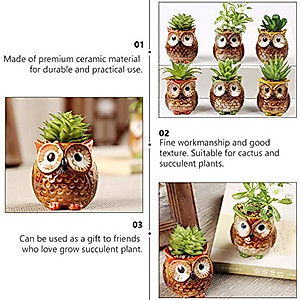Cabilock 6 Pcs Owl Flower Pot Owl Ceramic Succulent Planter Pots Window Planter Mini Flower Planter Mini Succulent Pot Window Flower Pot Bonsai Pot Succulent Vase Indoor Ceramics Animal