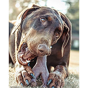 SPOT Bam-Bones Wishbone - Made with Strong Bamboo Fiber, Durable Long Lasting Dog Chew for Light to Moderate Chewers, Great Toy for Adult Dogs & Teething Puppies Under 50lbs, 7in, Bacon Flavor