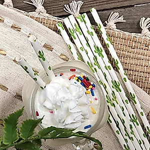 Cactus Theme Paper Straws - Green White Succulents and Gold Foil Drinking Straws - 100 Pack Outside the Box Papers Brand